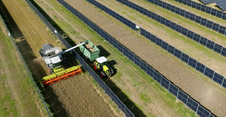 Agrivoltaics: Which Crops Thrive Under Solar Panels? - 8760 Solar
